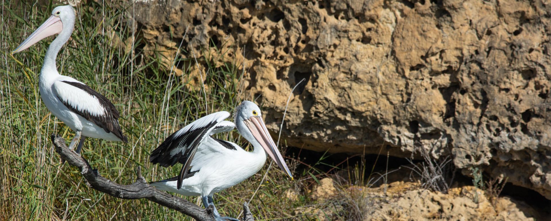 River Murray Holiday Itineraries | Kodari Houseboats Morgan SA